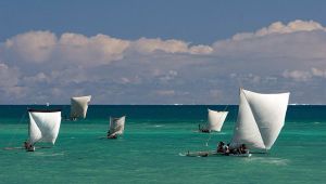 Local Communities Playing Vital Role in Marine Conservation - Our World