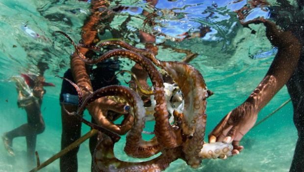 Local Communities Playing Vital Role in Marine Conservation - Our World