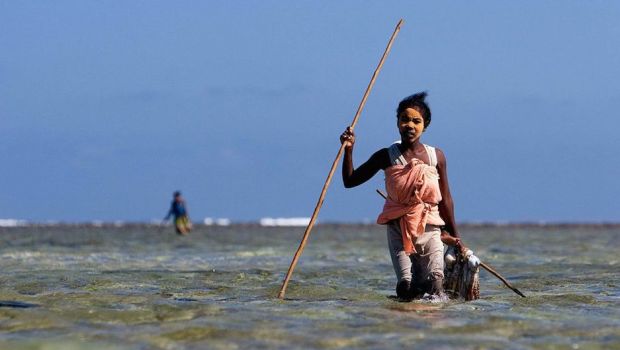 Local Communities Playing Vital Role in Marine Conservation - Our World