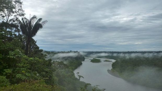 Deep in the Amazon, a Tiny Tribe Is Beating Big Oil - Our World