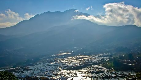 Biodiversity in the Hani Cultural Landscape - Our World