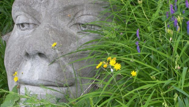 Celebrating Mother Earth, 45 Years On - Our World