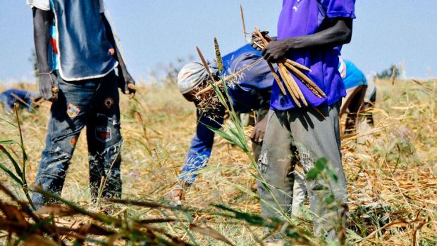 Mali in the Frontlines of Climate Change - Our World