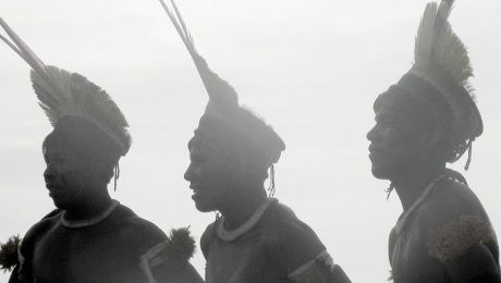 Seeing the People for the Trees - Our World