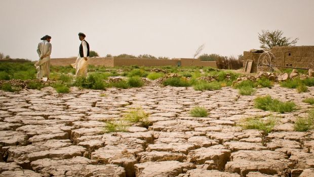 Desertification Crisis Affecting 168 Countries Worldwide, Study Shows ...