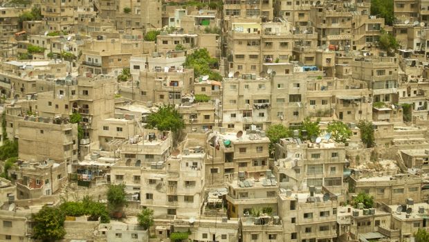 In Home Gardens, Income and Food for Urban Poor - Our World