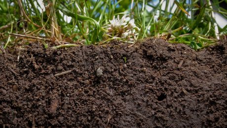 The Surprising Healing Qualities... of Dirt - Our World