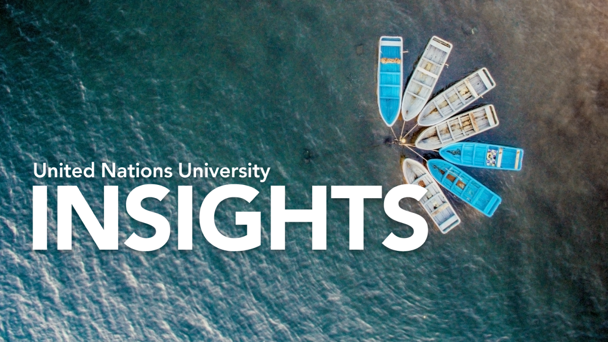 INSIGHTS e-newsletter - United Nations University