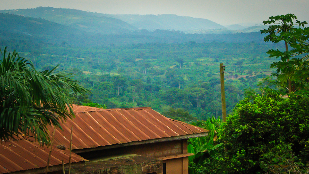 Forest Income and Household Welfare in Rural Nigeria - United Nations ...